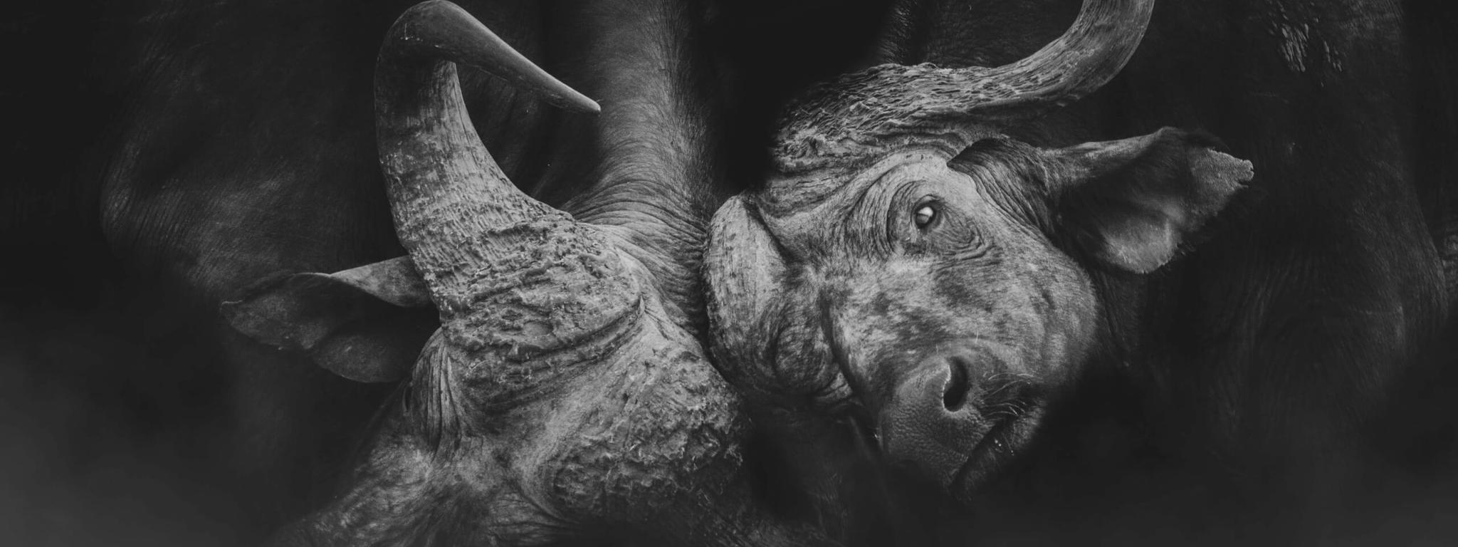 Exposure One Awards | One Shot Photo Contest