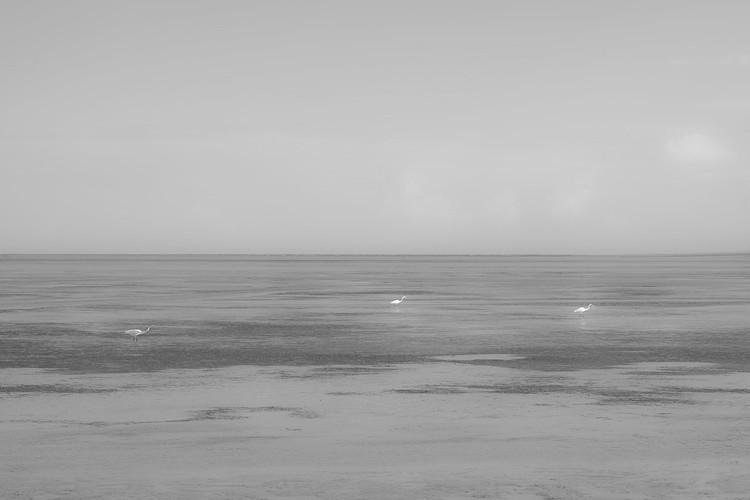 Exposure One Awards | Julianne Rose | Honorable Mention (Minimalism)