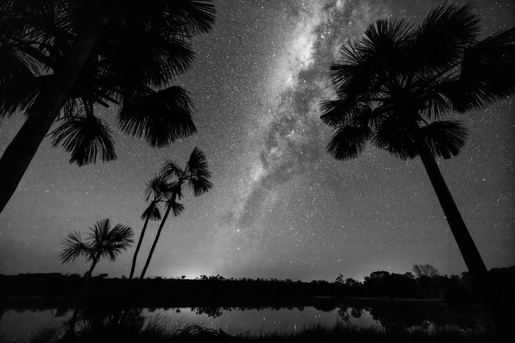 Exposure One Awards | Marcos Franchetti | Silver (Earth’s Textures)