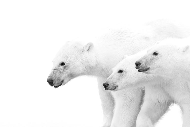 Exposure One Awards | Miles Hewitt-Boorman | Honorable Mention (Minimalism)