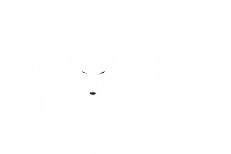 Exposure One Awards | Miles Hewitt-Boorman | Honorable Mention (Minimalism)