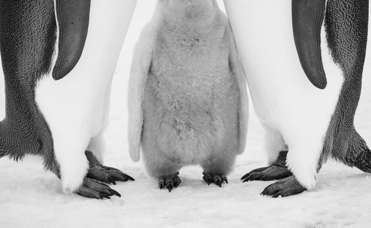 Exposure One Awards | Claire Waring | Honorable Mention (Wildlife)