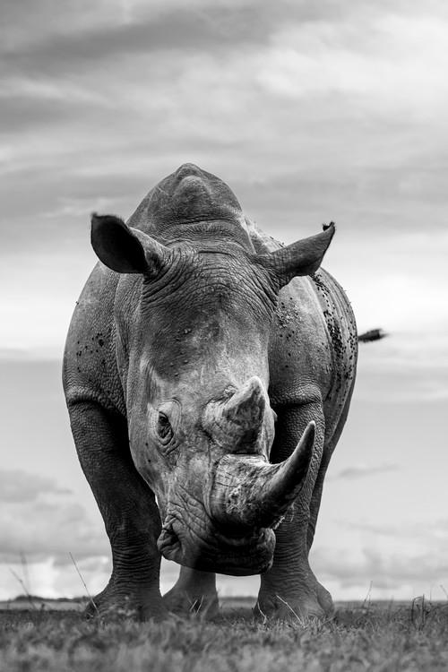 Exposure One Awards | Silke Hullmann | Nominee (Wildlife)
