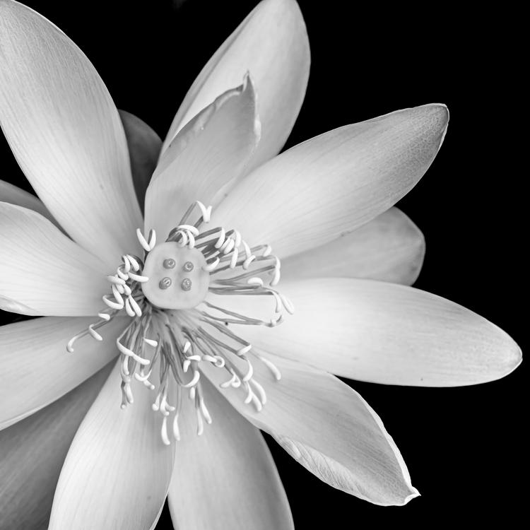 Exposure One Awards | Debbie Lucas | Honorable Mention (Other)