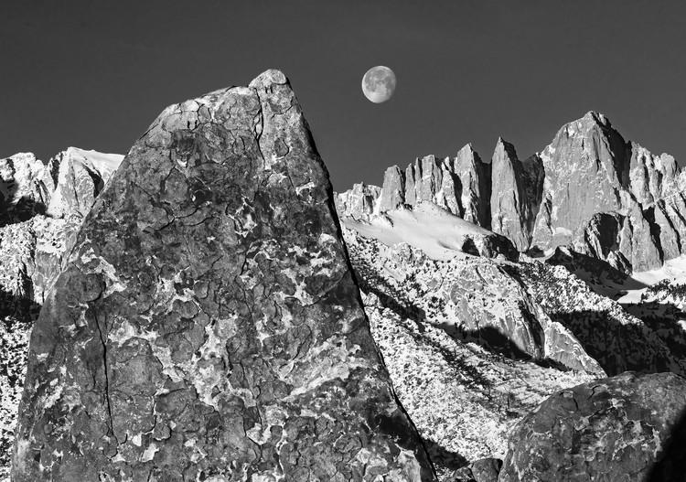 Exposure One Awards | Thomas Kelsey | Silver (Nature)