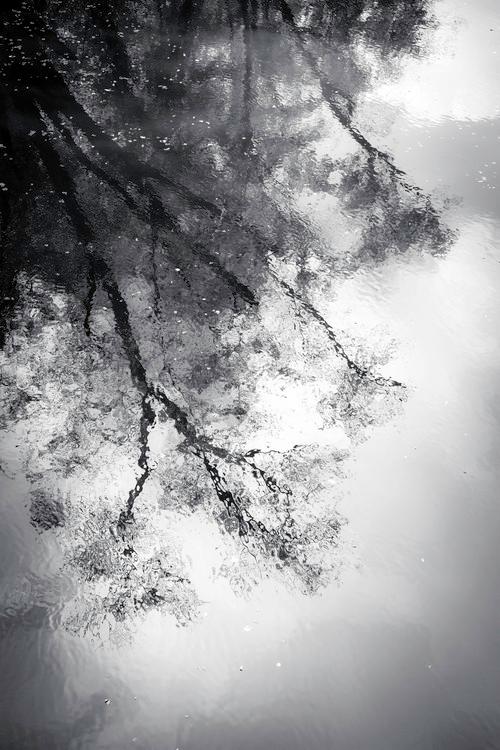 Exposure One Awards | Tony Crowley | Nominee (Abstract)